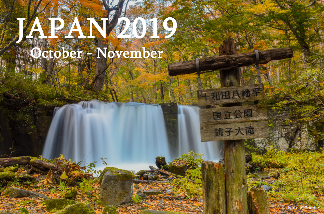 Japan 2019 Day 23: Flying home from Haneda | My Nihon