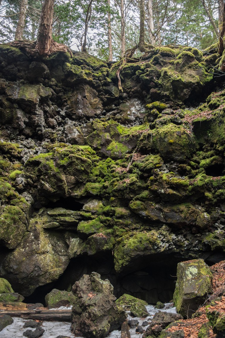 Planning a DIY trip to see Mount Fuji | My Nihon