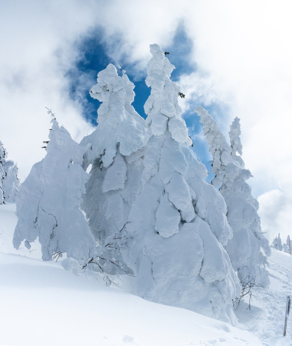 Japan 2023 Winter Day 7: The Snow Monsters of Akita -Juhyo | My Nihon