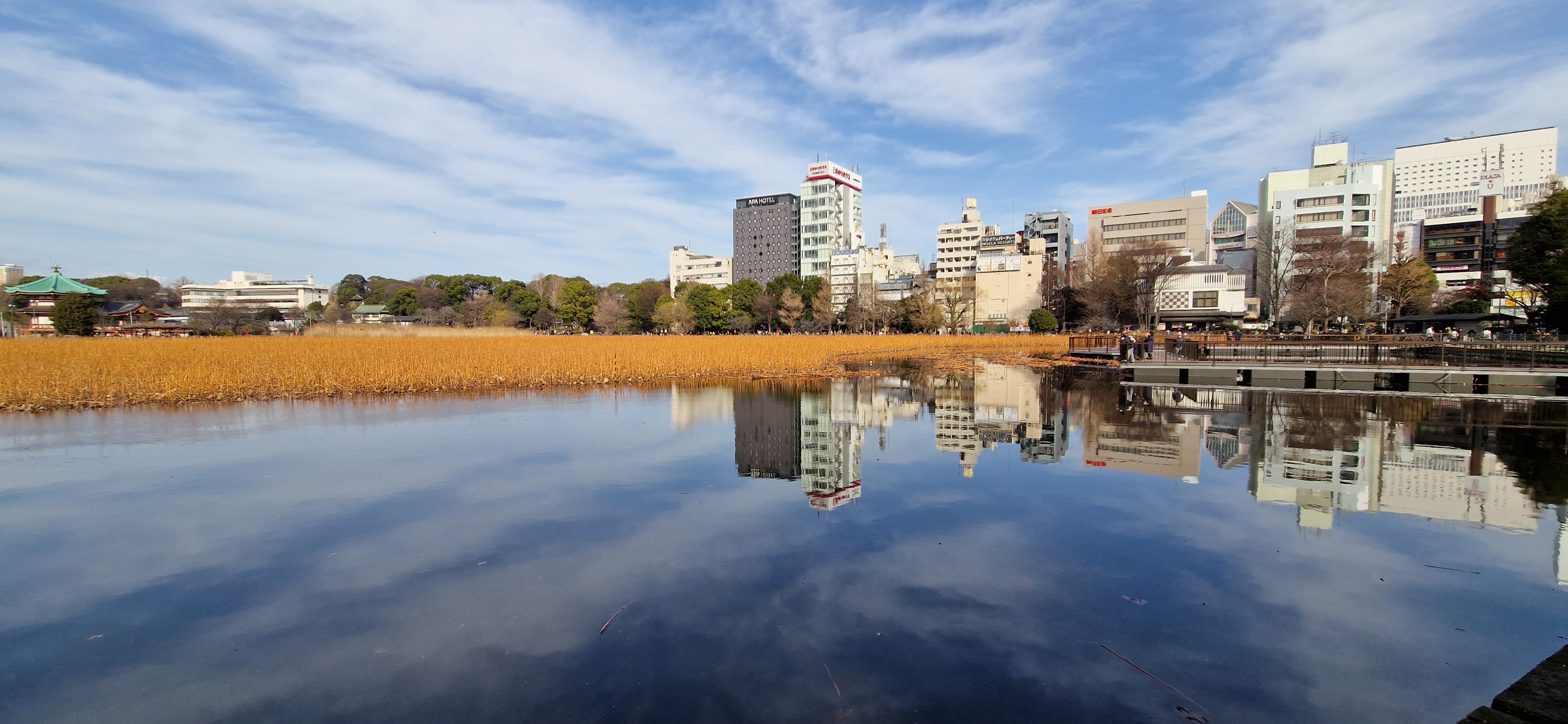 20230212_142440 | My Nihon