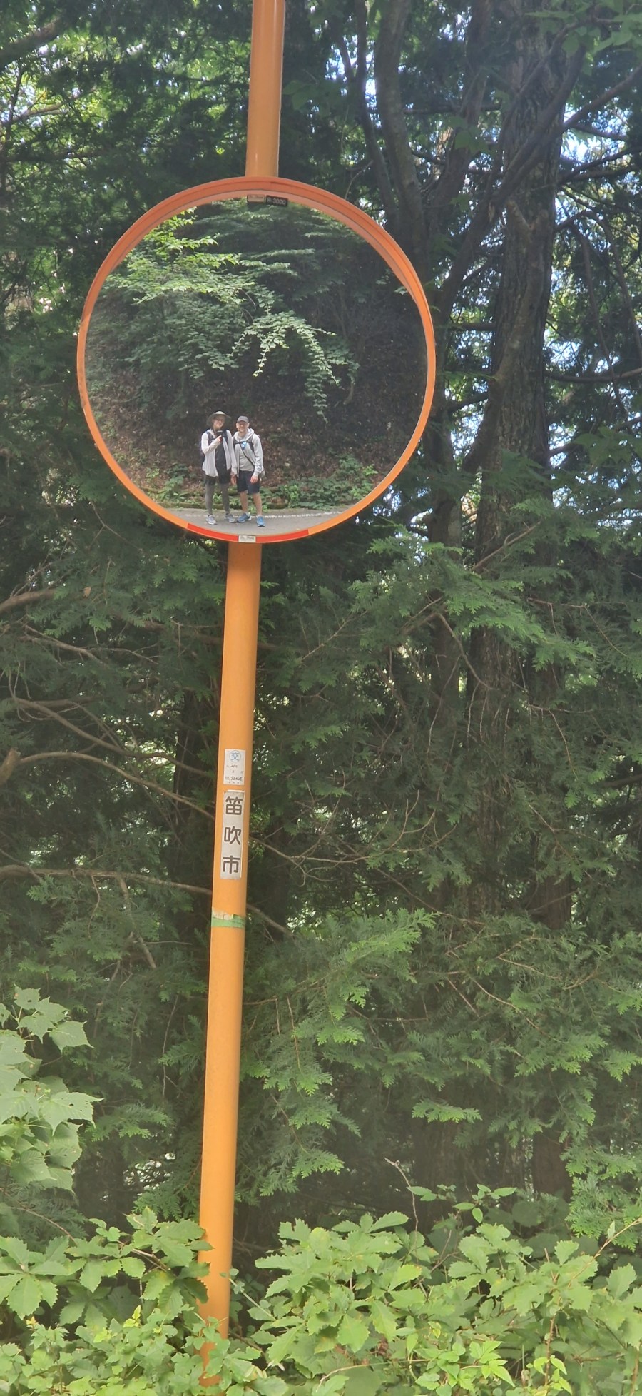 Japan 2023 Summer Day 14: Goodbye to Mount Fuji, hello Tokyo | My Nihon