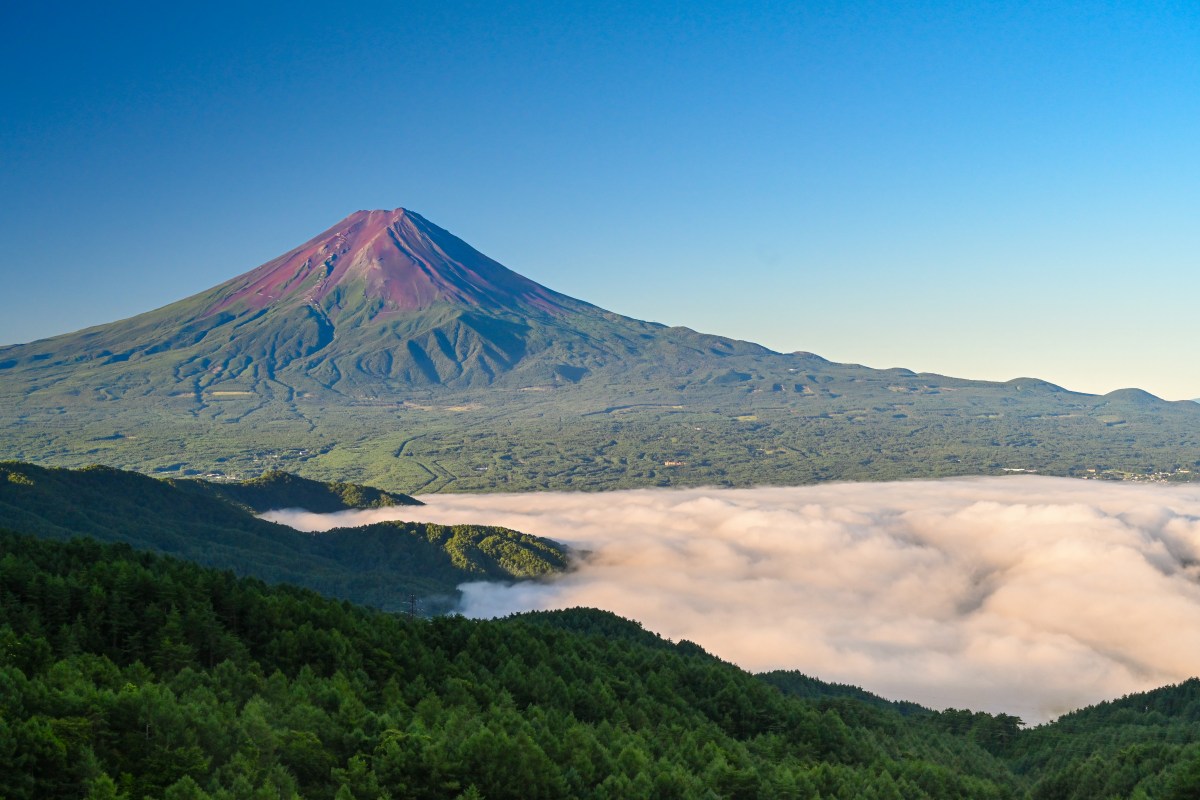 Japan 2023 Summer Day 14: Goodbye to Mount Fuji, hello Tokyo | My Nihon